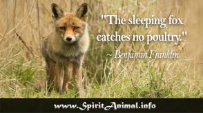 Fox Quotes - Spirit Animal Info
