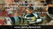 Snake Quotes - Spirit Animal Info